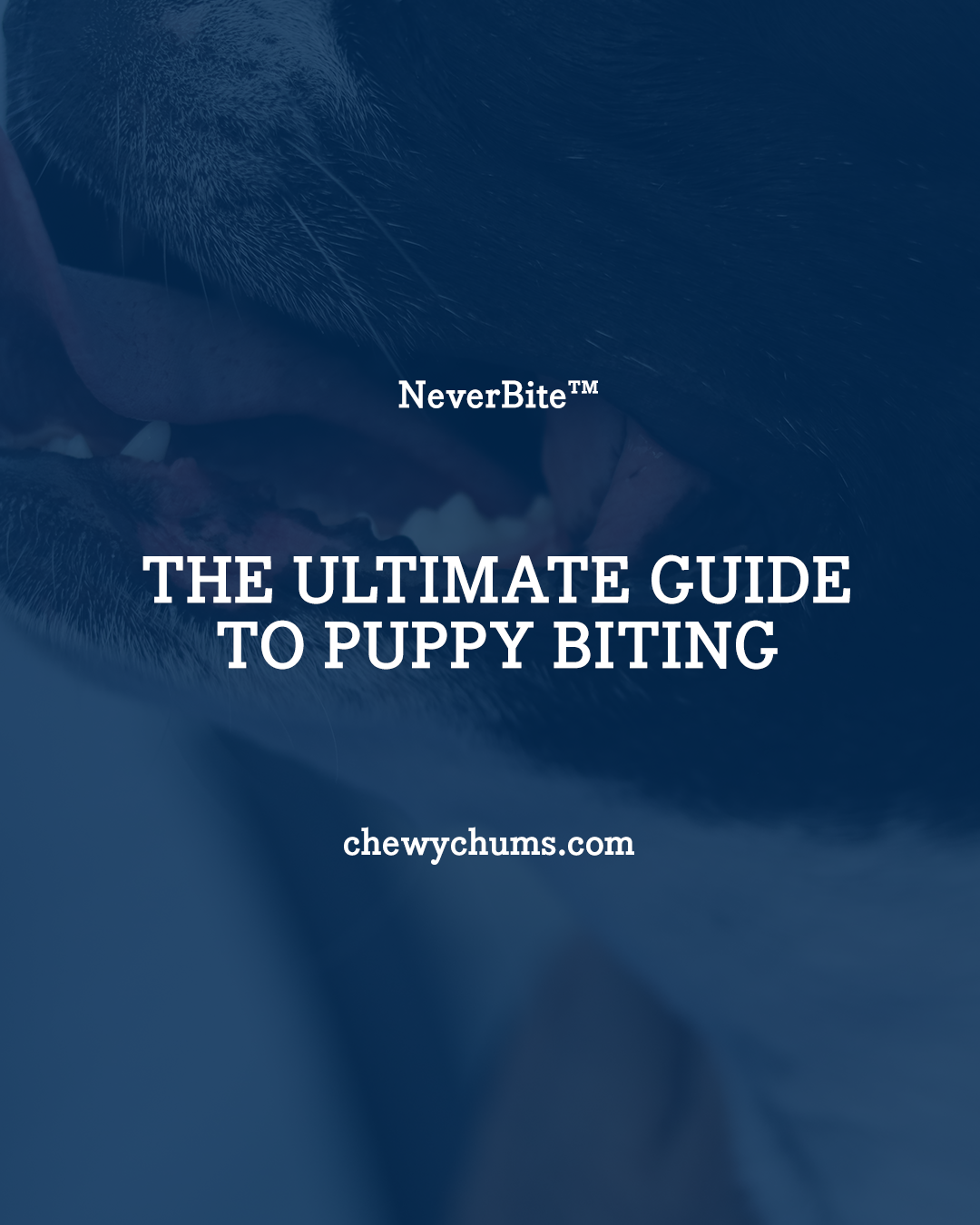 The Ultimate Guide to Puppy Biting: Why It Happens and How to Stop It ...